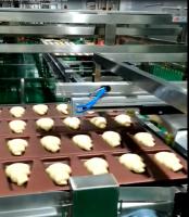 China Automatic Croissant Production Line with Insulated Tunnel Oven & Cooling System for sale