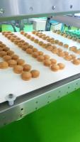 China Multi-Layer Straight Cooling Belt Conveyor 300-1200mm Width for Bakery Food Industry with VFD Control for sale