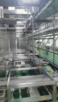 China Continuous Sourdough Proofer Machine with Stainless Steel Construction and Automated Climate Control for Toast Production Lines for sale