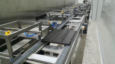 China Vertical In-Line Automatic Continuous Bread Dough Proofer - Custom Capacity, Temperature & Humidity Control for Industrial Bakeries for sale