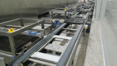 China CE Certified Automatic Bread Production Line with 2m Tunnel Oven Sections and Spiral Cooling Tower for sale