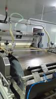 China Steel Belt Convection Tunnel Oven for Biscuits & Cakes - Gas-Powered Baking System with Customizable Zones for sale
