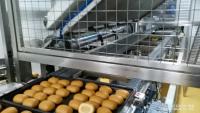 China Independent Controlled Flip-Over Bread Depanner for Food Production Lines - Custom Sizes & Medium-High Capacity for sale