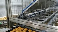 China Independent Controlled Flip-Over Bread Depanner for Food Production Lines - Custom Sizes & Medium-High Capacity for sale