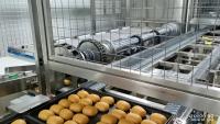 China Independent Controlled Flip-Over Bread Depanner for Food Production Lines - Custom Sizes & Medium-High Capacity for sale