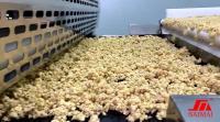 China Continuous 1000 Kg/H 220V Automatic Potato Chip Granola Production Line with Steel Band Oven for sale