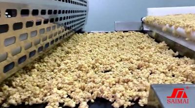 China Continuous 1000 Kg/H 220V Automatic Potato Chip Granola Production Line with Steel Band Oven for sale