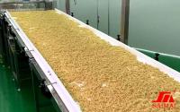 China ISO 9000 SUS304 Automated Grain Crisp Production Line with Steel Belt Tunnel Oven and Independent Temperature Control Zones for sale