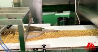 China Fully Automatic 380V Granola Production Line with Industrial Oven and Cooling System for Breakfast Cereal Manufacturing for sale
