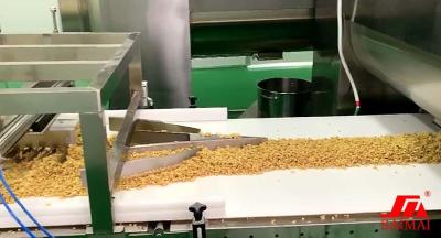 China Fully Automatic 380V Granola Production Line with Industrial Oven and Cooling System for Breakfast Cereal Manufacturing for sale