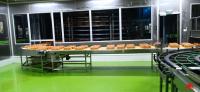 China Hygiene Ultrasonic Slicer Sandwich Bread Rusk Production Line with 2m Tunnel Oven Sections and Custom Cooling Tower for sale