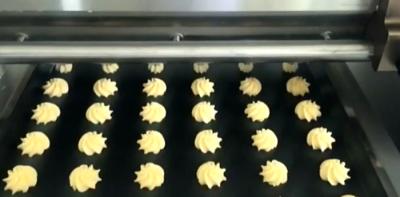 China ISO9000 Reciprocating Head Cookie Depositor Machine with 1.2M Working Width and Touch Screen Control for sale