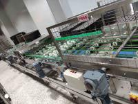 China ABB Motor 220V Automatic Cream Injection Cake Production Line with 15-130cc Depositor and 110-150 Bags/Min Packing for sale