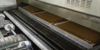 China Flip Over Depanner Nagasaki Cake Automatic Cake Production Line for sale