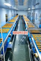 China PLC Controlled 1000kg/h Automatic Muffin & Cake Production Line with 850mm Conveyor and 130cc Depositor for sale