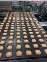 China ISO9000 Industrial Cake Production Line with 2650mm Tunnel Oven and 70m Baking Length for Cupcakes, Tarts & Custard Cakes for sale