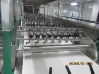 China Turnkey 380V Muffins Rusk Automated Bakery Production Line for sale