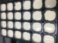 China CE SUS304 Semi Automatic Sponge Cupcake Production Line with 850mm Conveyor and 15-130cc Depositor Capacity for sale