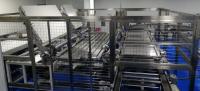China CE SUS304 Semi Automatic Sponge Cupcake Production Line with 850mm Conveyor and 15-130cc Depositor Capacity for sale