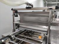China PLC 304 Stainless Steel Continuous Castella Cake Production Line with 130cc Depositor and 60mm Ultrasonic Cutter for sale