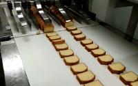 China ABB Industrial Cake Production Line Equipment for Fruit Cake, Loaf Cake & Cake Rusk - 20-25 Strokes/Min Capacity with 15-130cc Depositor for sale