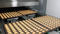 China ISO9000 Industrial Cake Production Line with 2650mm Tunnel Oven and 70m Baking Length for Cupcakes, Tarts & Custard Cakes for sale