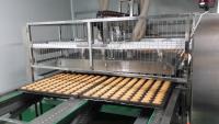 China ISO9000 Industrial Cake Production Line with 2650mm Tunnel Oven and 70m Baking Length for Cupcakes, Tarts & Custard Cakes for sale