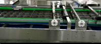 China Automated Hot Dog Roll Production Line with Multi-Step Proofer and 2m Tunnel Oven for Industrial Bakeries for sale