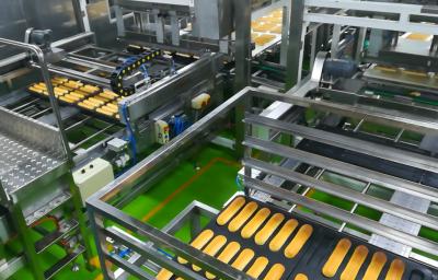 China CE Sourdough Bread Production Line with 2m Tunnel Oven Sections and 20-25cm Insulation for Automated Baking for sale