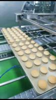 China CE Sourdough Bread Production Line with 2m Tunnel Oven Sections and 20-25cm Insulation for Automated Baking for sale