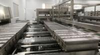 China CE Certified Automatic Bread Production Line with 2m Tunnel Oven Sections and Spiral Cooling Tower for sale