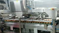 China 380V 50Hz Bread Production Line with Endless SUS Modular Mesh Belt Conveyor for sale