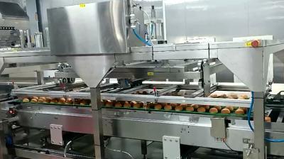 China 380V 50Hz Bread Production Line with Endless SUS Modular Mesh Belt Conveyor for sale