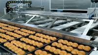 China ISO9000 25cm Insulation Baking Tunnel Automated Mini French Bread Production Line with OMRON PLC Control for sale