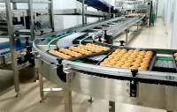 China ISO9000 25cm Insulation Baking Tunnel Automated Mini French Bread Production Line with OMRON PLC Control for sale