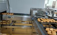 China ISO9000 25cm Insulation Baking Tunnel Automated Mini French Bread Production Line with OMRON PLC Control for sale
