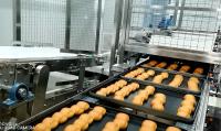 China ISO9000 25cm Insulation Baking Tunnel Automated Mini French Bread Production Line with OMRON PLC Control for sale