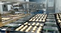 China ISO9000 25cm Insulation Baking Tunnel Automated Mini French Bread Production Line with OMRON PLC Control for sale
