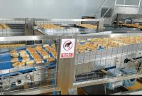 China 304 Stainless Steel Automated Soft Bread Bar Production Line with 2m Tunnel Oven Sections and PLC Control System for sale