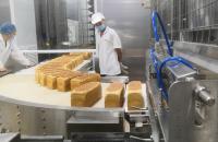 China CE Certified Automatic Bread Production Line with 2m Tunnel Oven Sections and Spiral Cooling Tower for sale