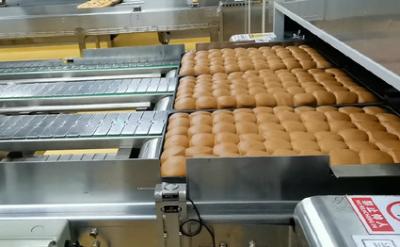 China CE Certified Needle Depanner Sourdough Bread Production Line with 2m Oven Sections and Automatic Proofing System for sale