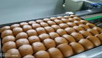 China CE Certified Needle Depanner Sourdough Bread Production Line with 2m Oven Sections and Automatic Proofing System for sale