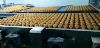 China Push Bar Depanner Croissant Industrial Bakery Machine with 2m Tunnel Oven Sections and Automatic Proofing System for sale