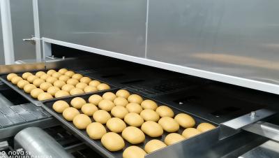 China Turnkey Automatic Bread Production Line with Tunnel Oven and 20-25cm Insulation for Milk Rolls and Filled Buns for sale