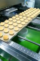 China PLC Control 1000kg/H Automatic Sweet Bun Production Line with Tunnel Oven and Depanning System for sale