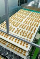China PLC Control 1000kg/H Automatic Sweet Bun Production Line with Tunnel Oven and Depanning System for sale