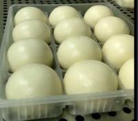 China Turnkey Multi-Step Proofer Automated Bread Making Machine for Industrial Bakery Production Line for sale