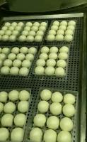 China Turnkey Multi-Step Proofer Automated Bread Making Machine for Industrial Bakery Production Line for sale