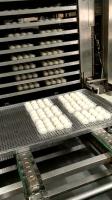 China Turnkey Multi-Step Proofer Automated Bread Making Machine for Industrial Bakery Production Line for sale