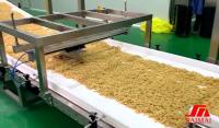 China 900mm Drum Diameter 1000mm Width Steel Belt Bakery Tunnel Oven with PLC Control for Granola Production for sale